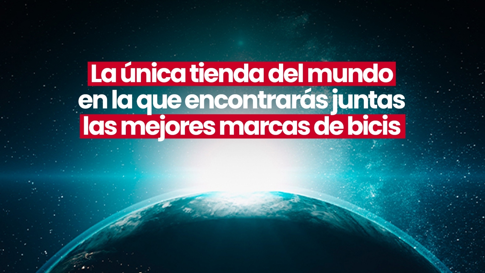 Sanferbike: la tienda de bicis donde encontrarás las marcas más reconocidas en un mismo espacio ...